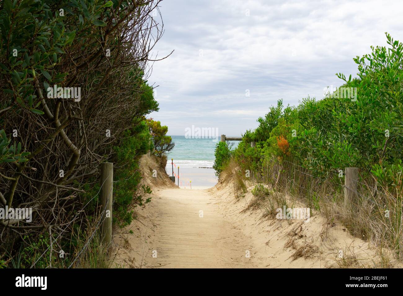 Sand pathway through dune vegetation to beach to water's edge Stock ...