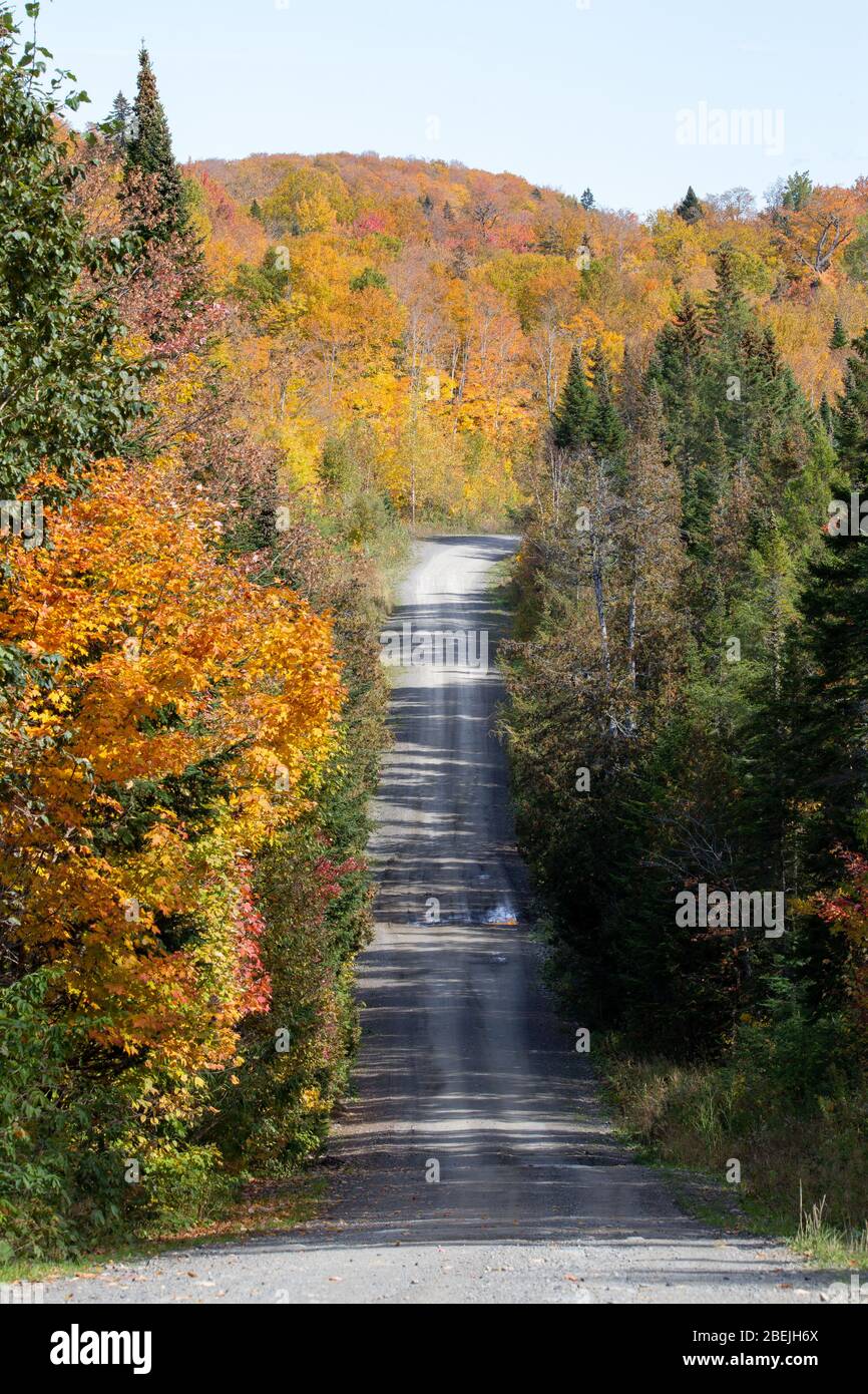 Country road in Maine with fall foliage Stock Photo - Alamy