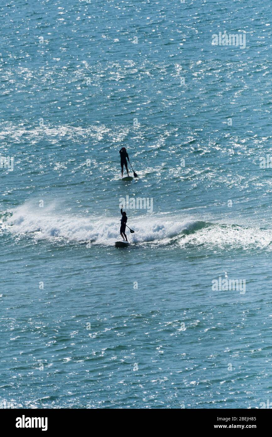 Paddle boarders seen in silhouette on the sea at Crantock in Newquay in ...