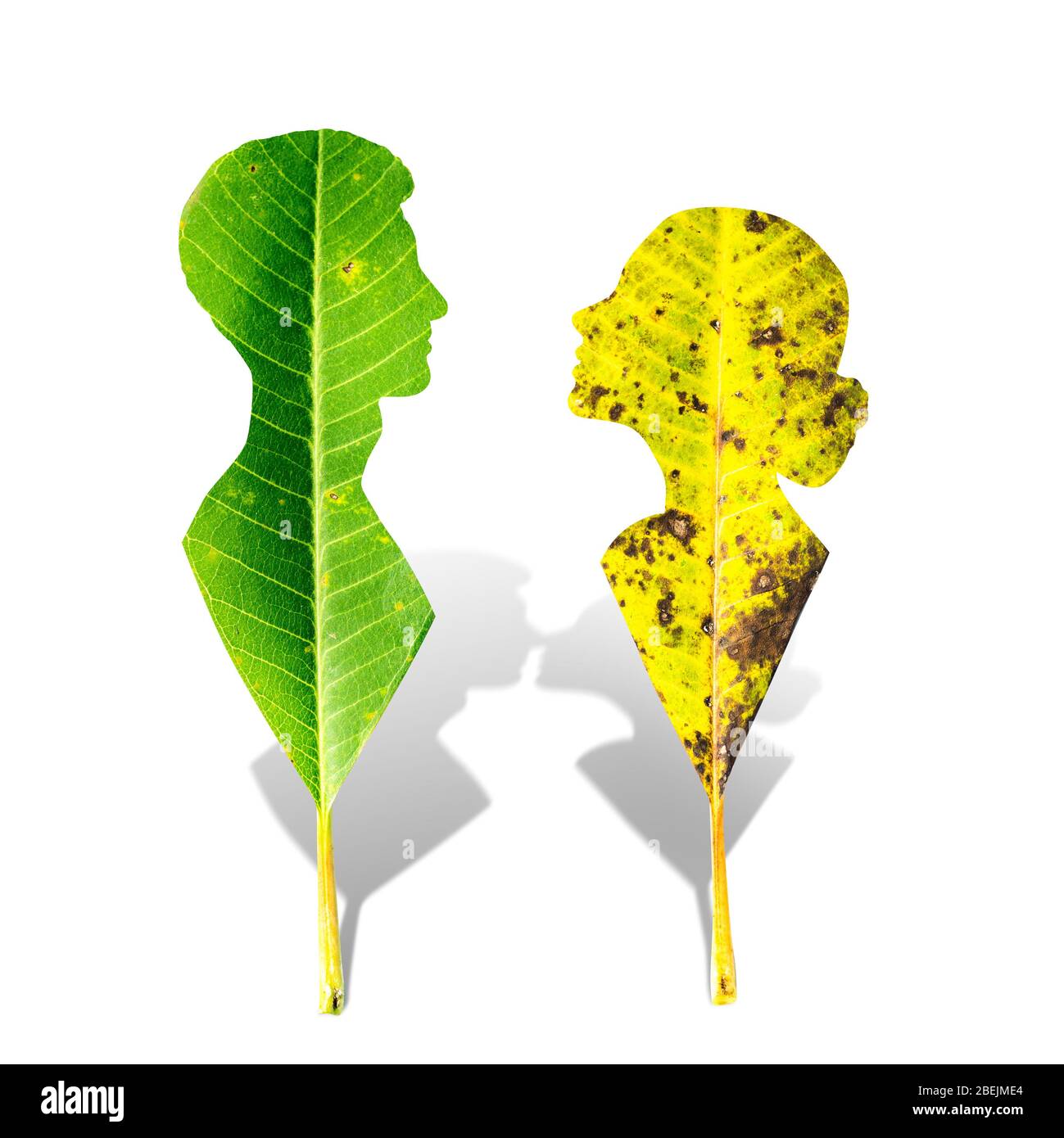 Women greeting each other with kiss hi-res stock photography and images ...