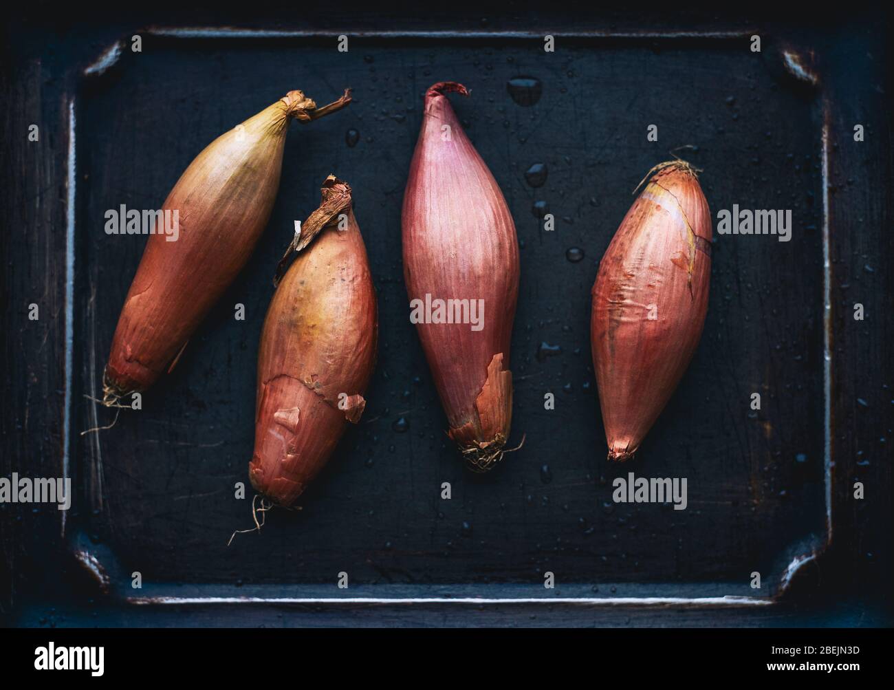 Raw French shallots on a metal background Healthy vegetable Stock Photo ...