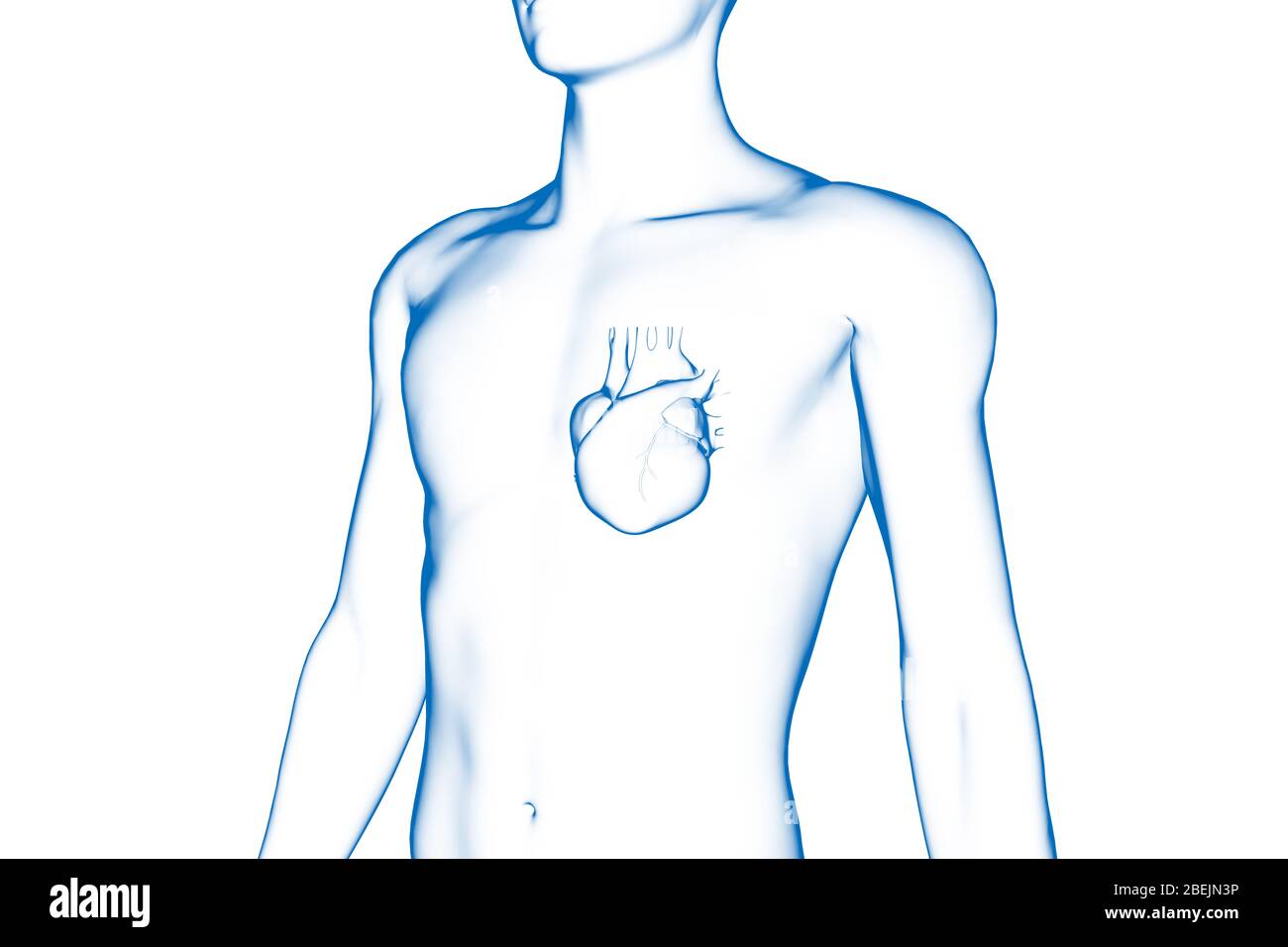 Man human person body hi-res stock photography and images - Alamy