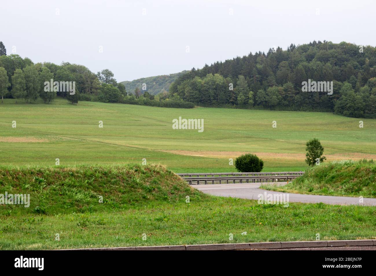 Trees plants grass and greenery in the highway of Rosenheim new ...