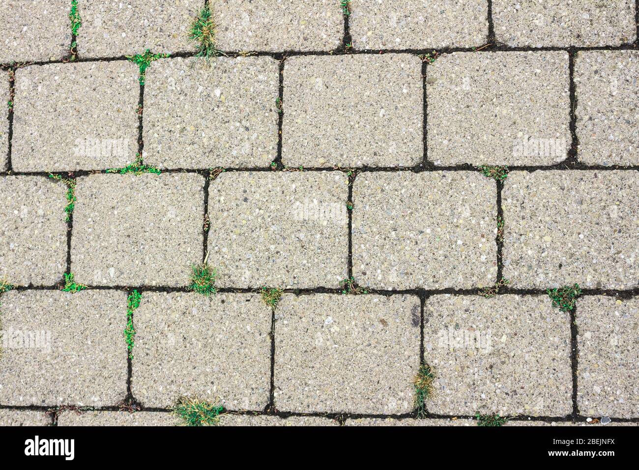 Wall texture of castle fortress in Dubrovnik old town, Croatia having ...