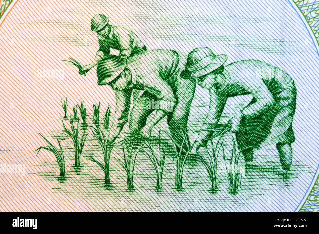 Rice money hi-res stock photography and images - Alamy