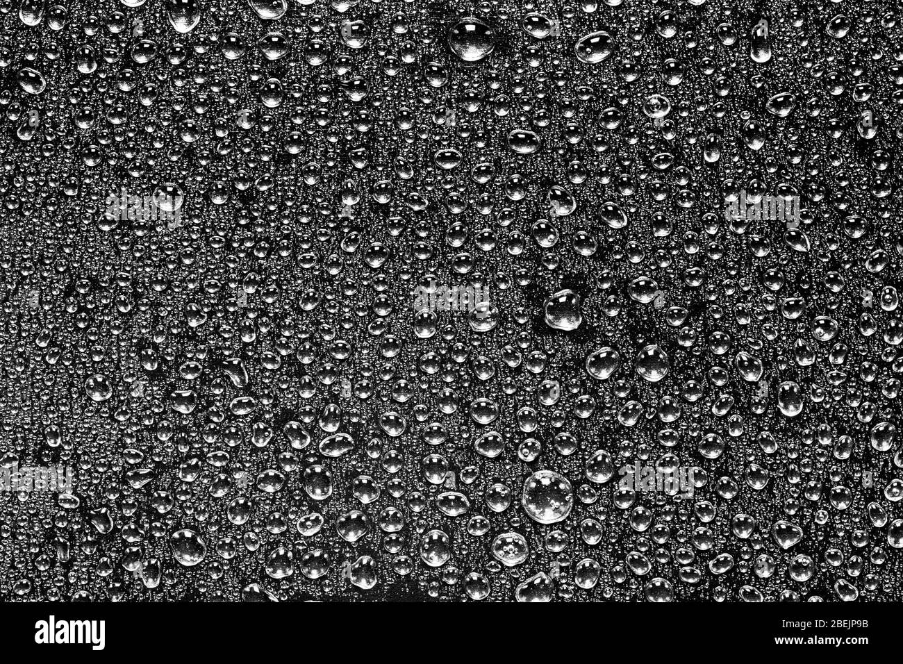 Macro water drops texture on a black background. Abstract pattern or ...