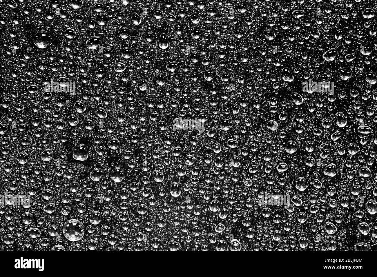 Macro water drops texture on a black backdrop. Abstract pattern or ...