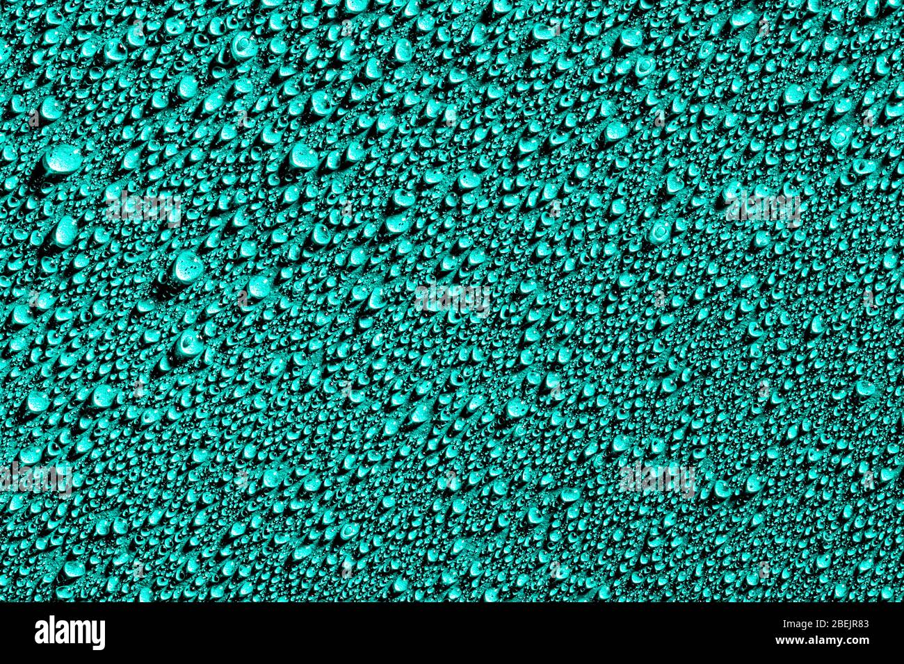 Macro water drops texture on a cyan backdrop. Abstract pattern or blank ...