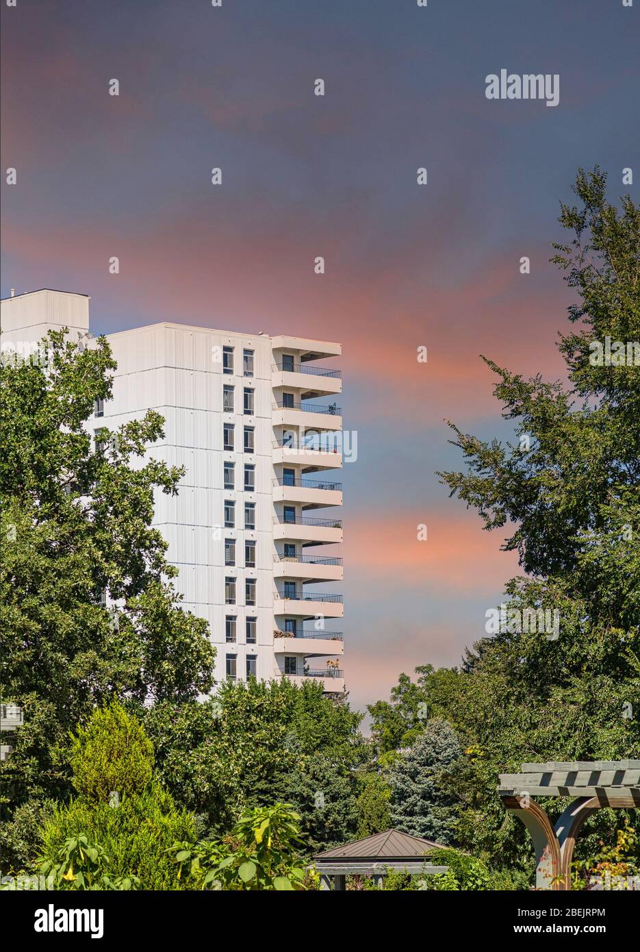 A modern white condo tower riisng out of green trees in a garden Stock ...