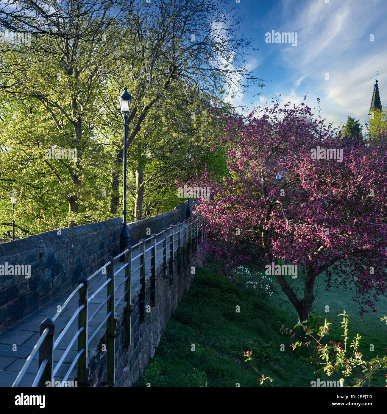 Chester City Walls viewed from King Charles Tower Stock Photo - Alamy