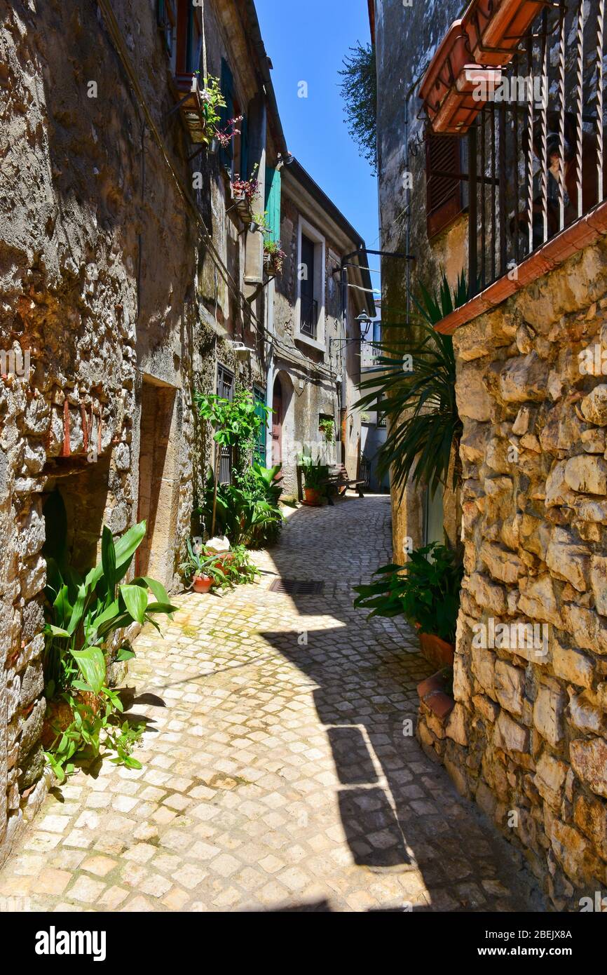 A narrow street between the old houses of Roccasecca dei Volsci, Italy ...