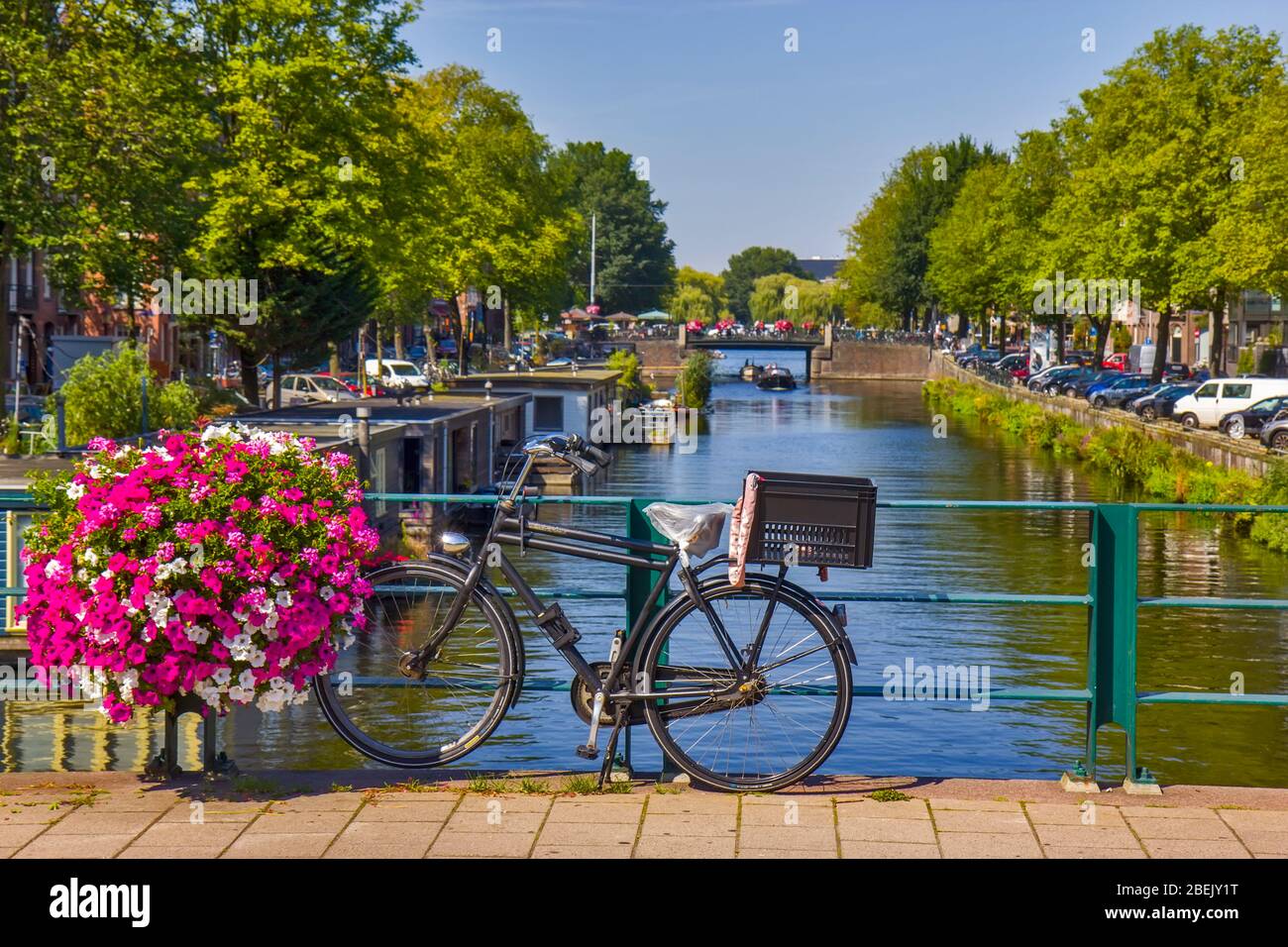 Beautiful flowers tree canal hi-res stock photography and images - Alamy