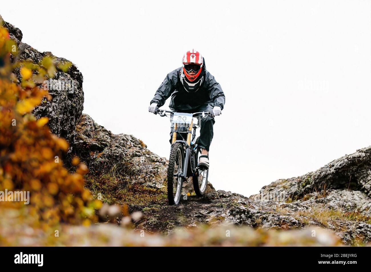 autumn downhill mountain biking. athlete rider riding on trail Stock ...
