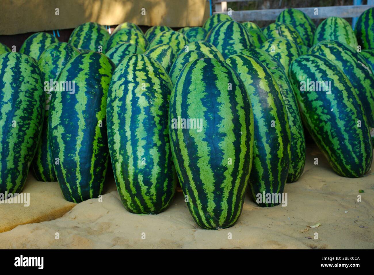 Jubilee Sweet Watermelon. rare natural flat long watermelon Stock Photo ...