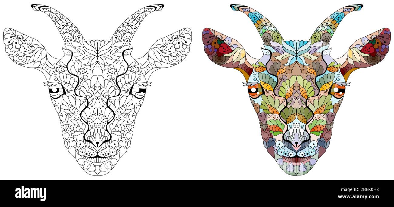 Zentangle goat head. Hand drawn decorative vector illustration for ...