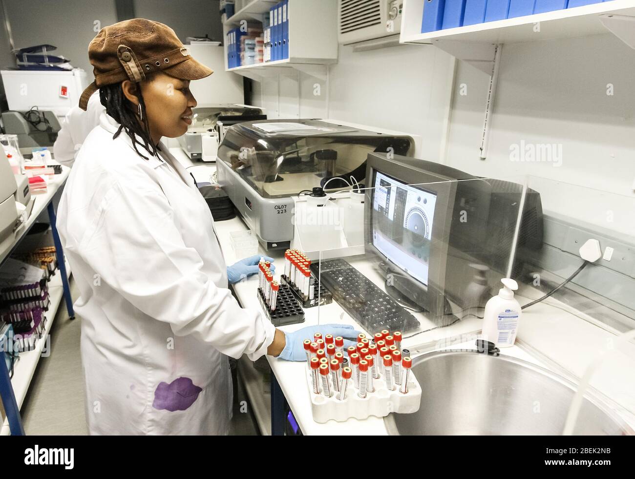 Pathology assistant hi-res stock photography and images - Alamy