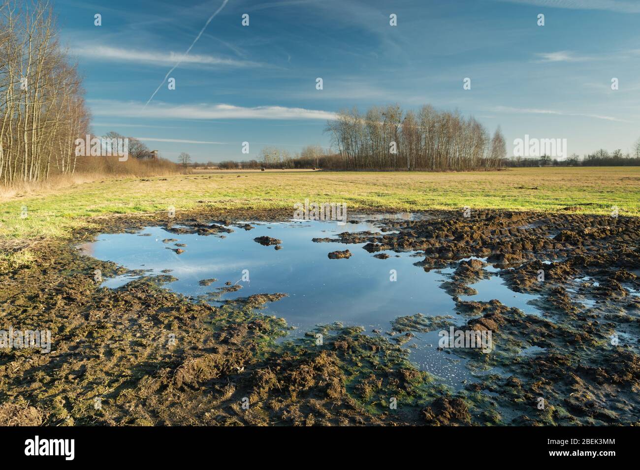 Grass mud farm hi-res stock photography and images - Alamy