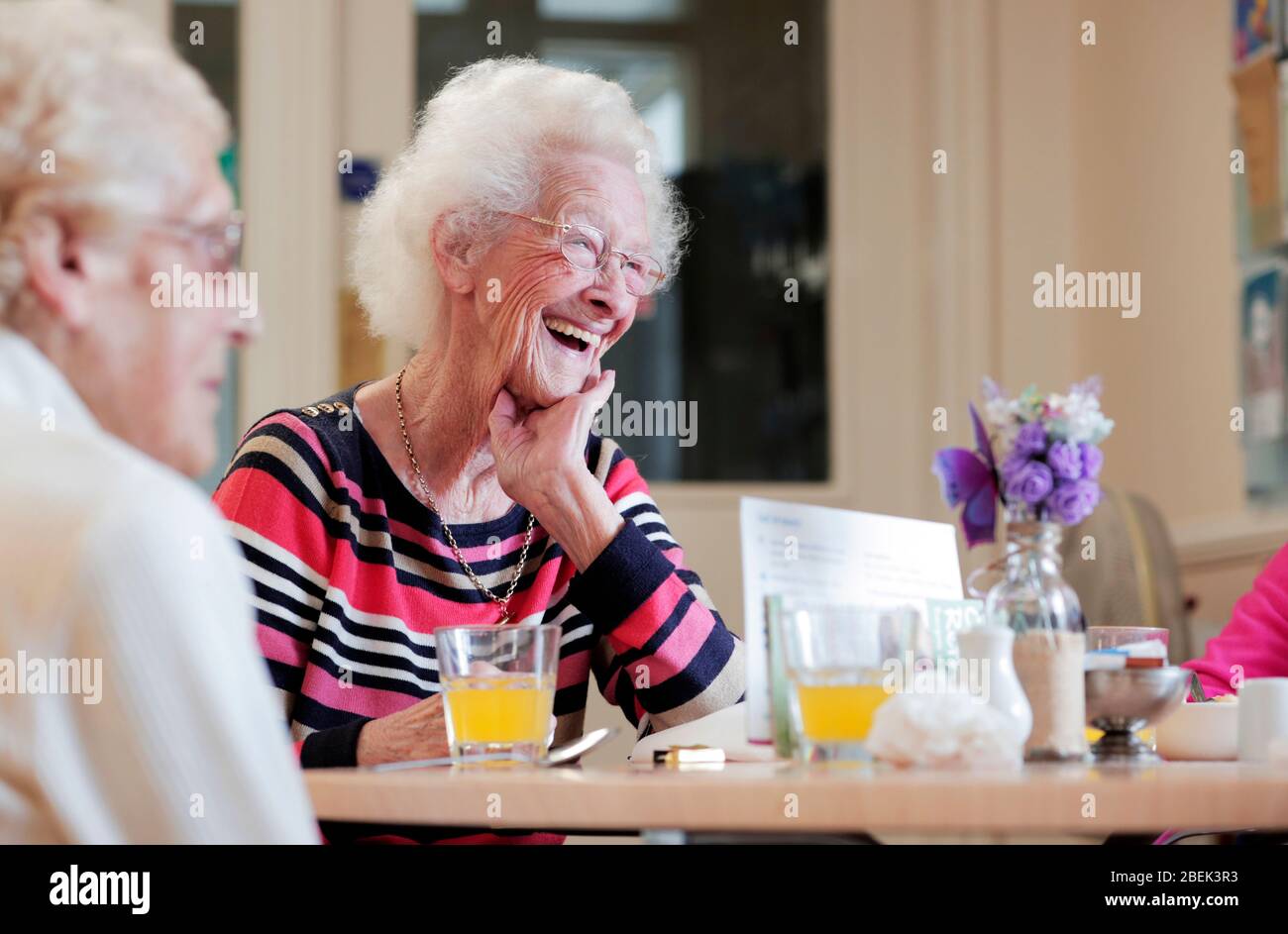 Smiling pensioners elderly photograph hi-res stock photography and ...