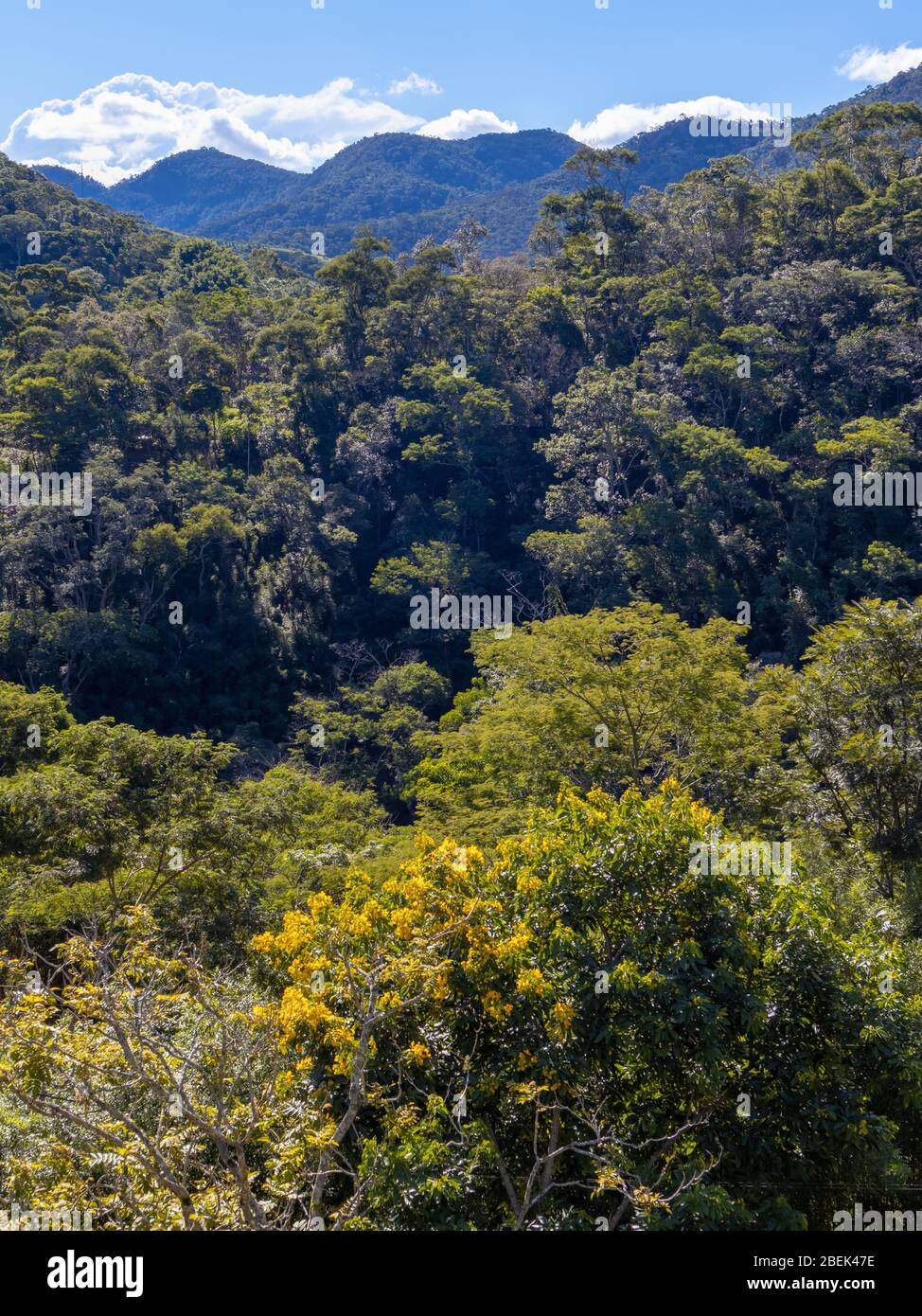 Mata atlantica valley and mountains covered with rainforest hi-res ...