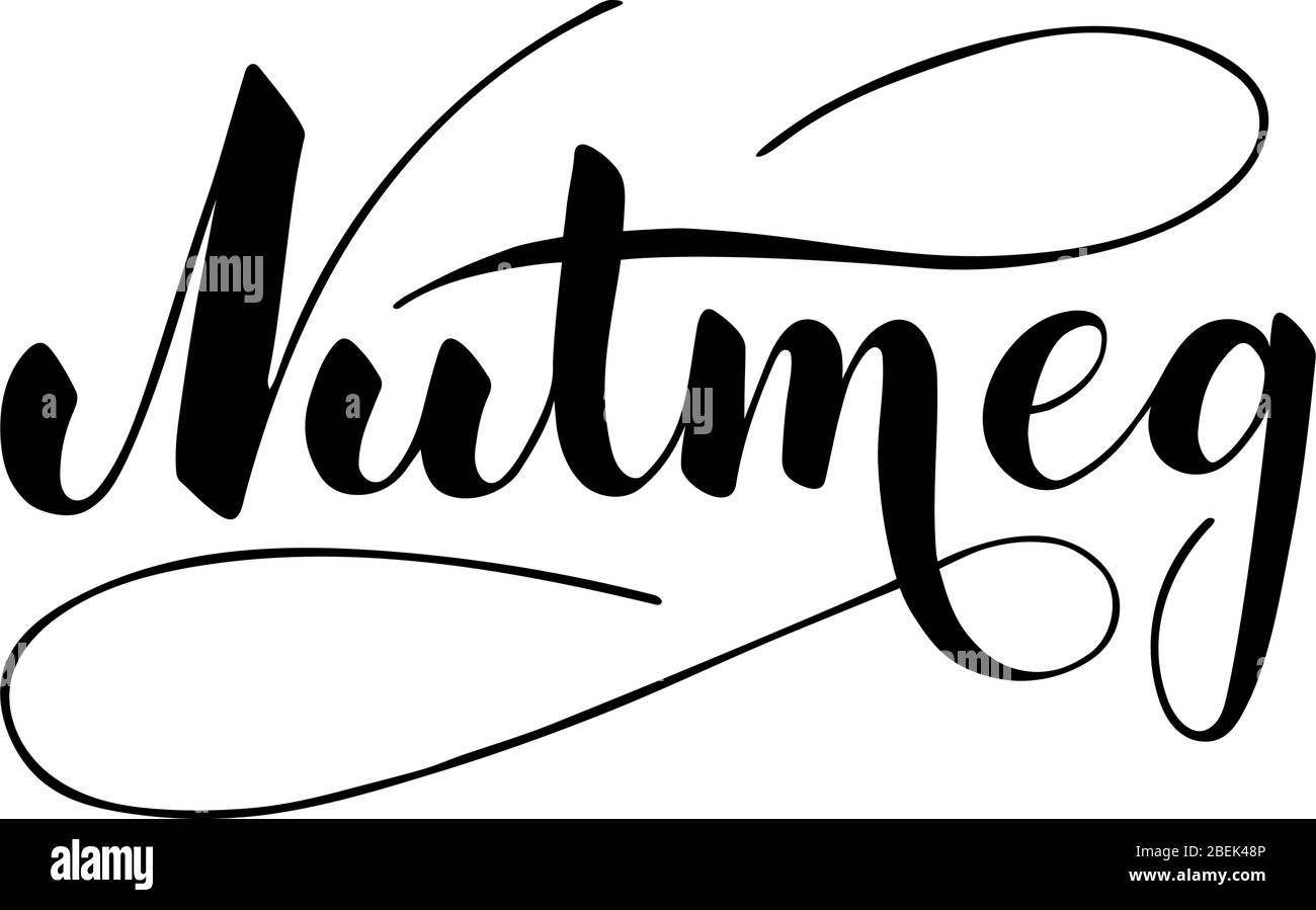 Vector hand written nutmeg text isolated on white background. Kitchen ...