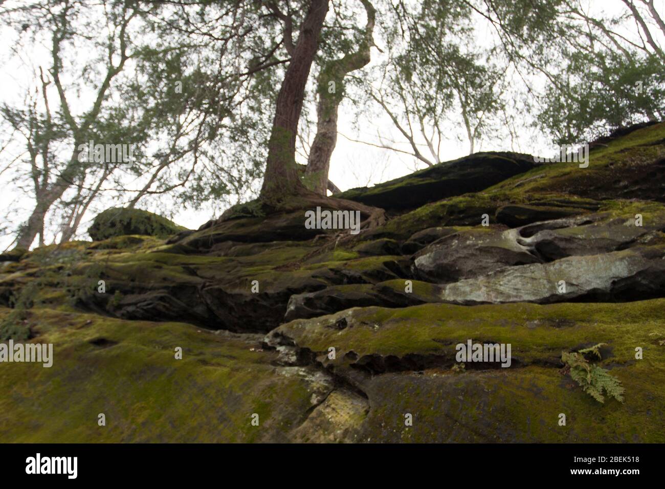 Beach City Wilderness Area, Dundee, Ohio Stock Photo - Alamy