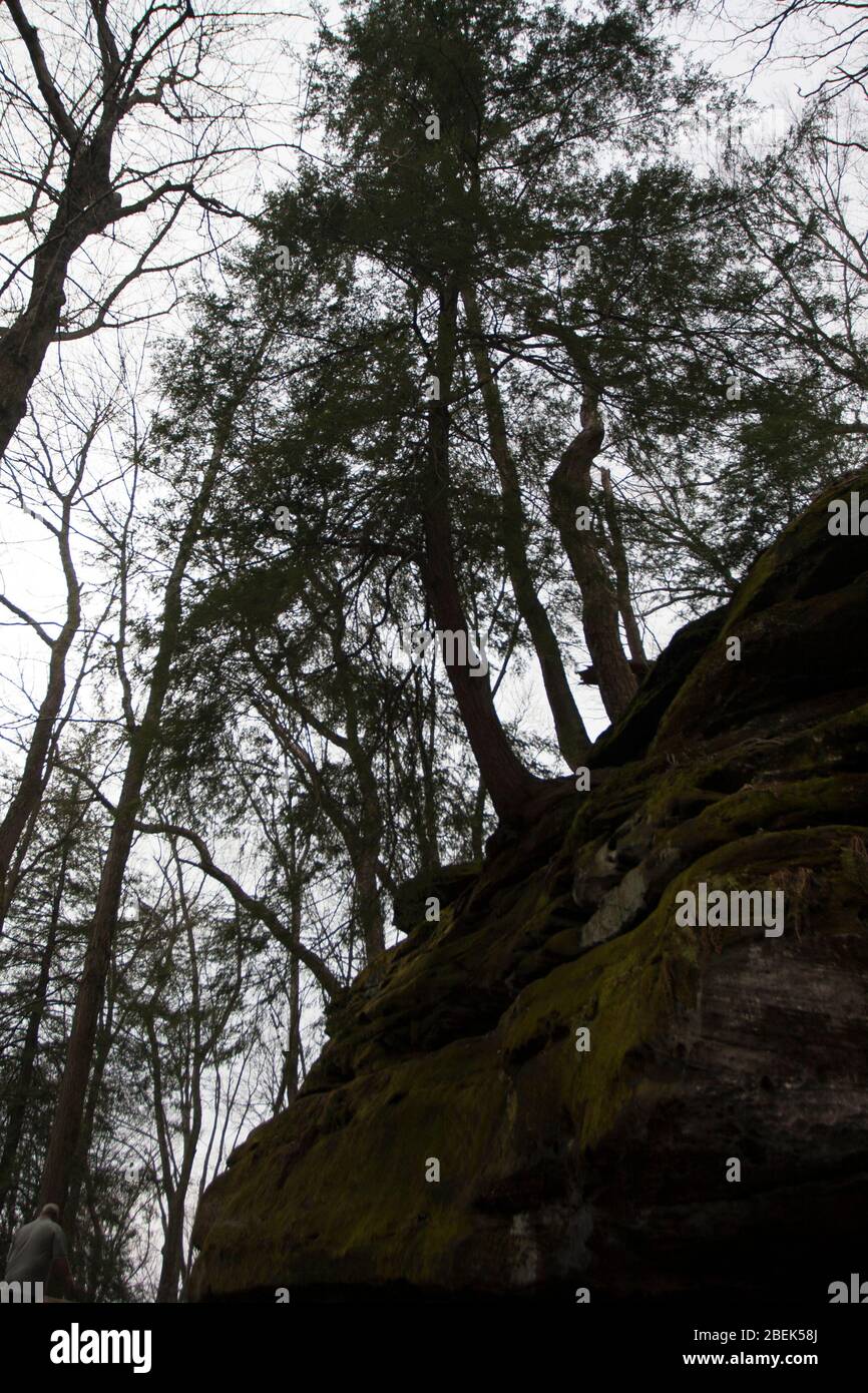 Beach City Wilderness Area, Dundee, Ohio Stock Photo - Alamy