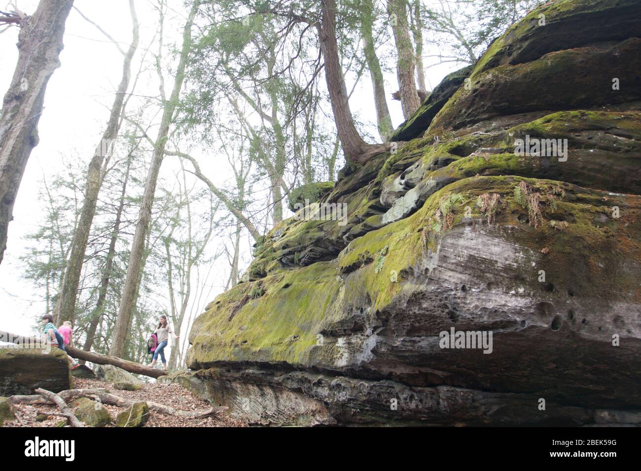 Beach City Wilderness Area, Dundee, Ohio Stock Photo - Alamy