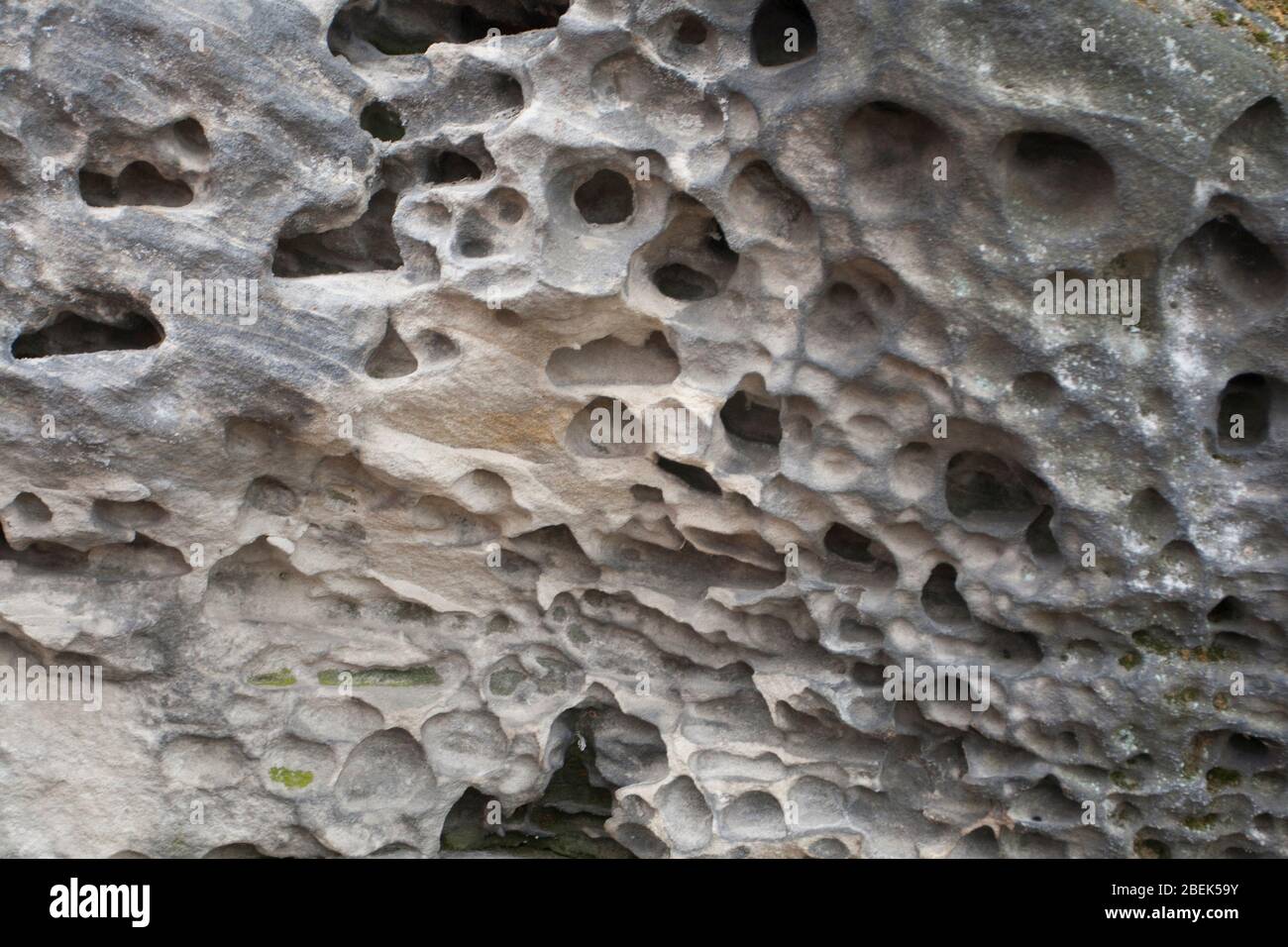 Beach City Wilderness Area, Dundee, Ohio Stock Photo - Alamy