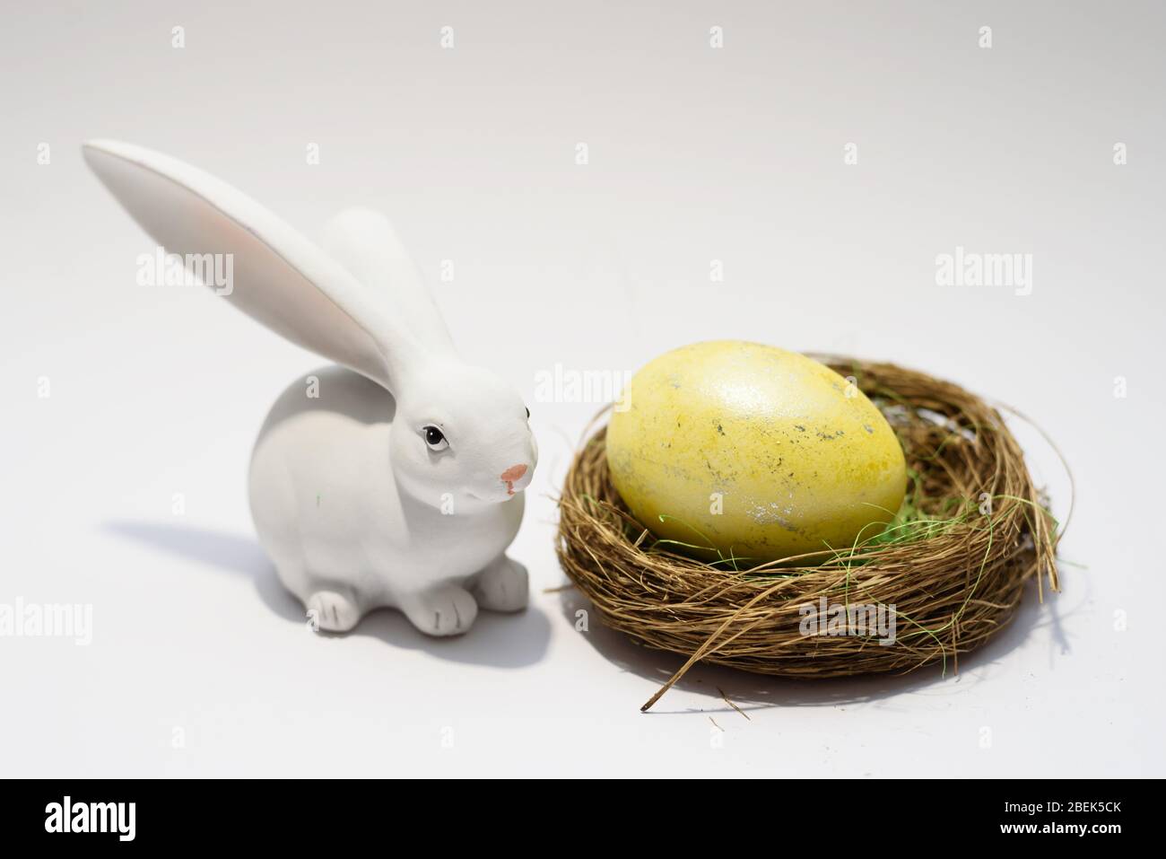 A white bunny rabbit looking at the nest with a yellow easter egg. on ...