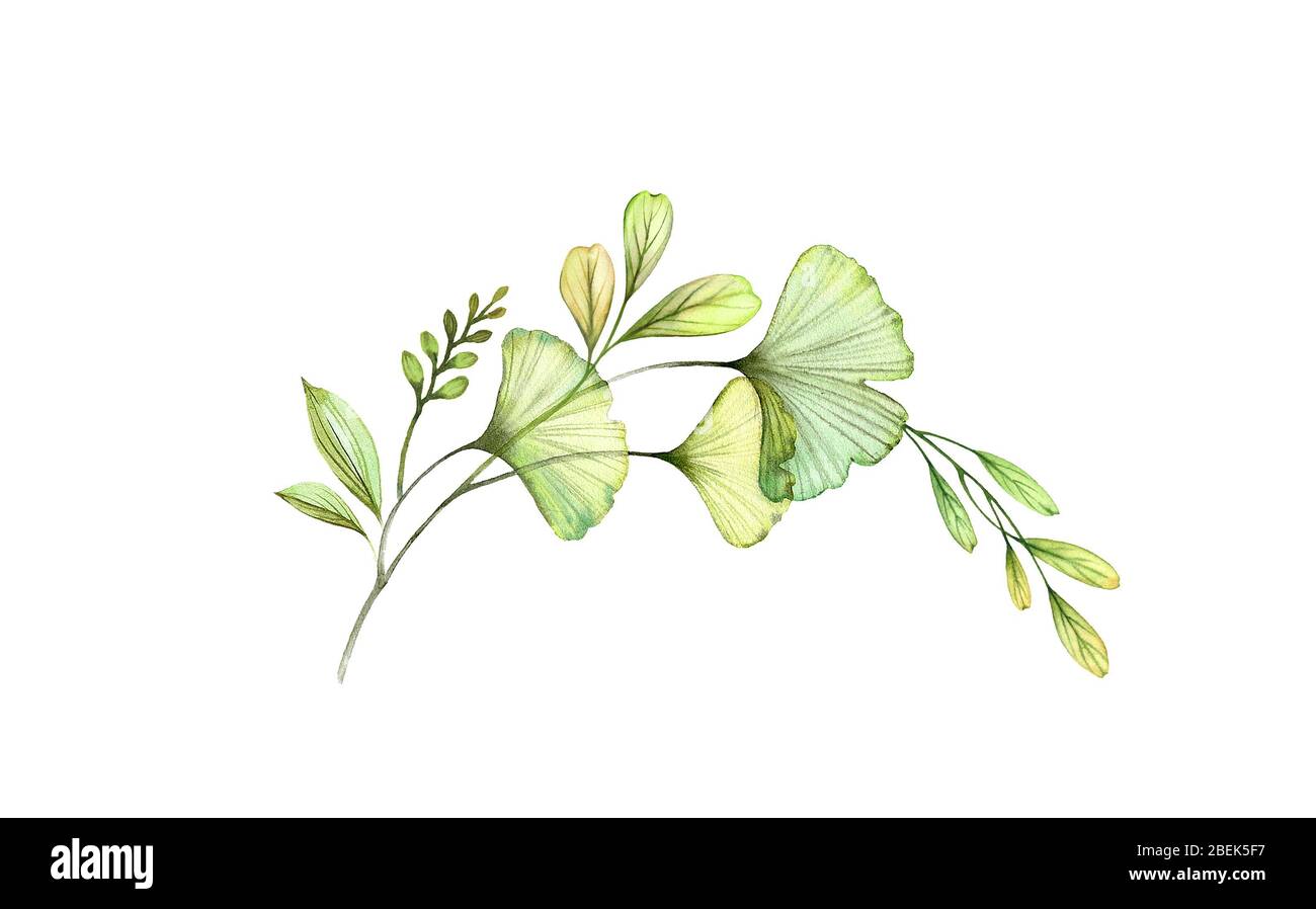 Watercolor floral arch. Green branches and leaves. Round design element ...