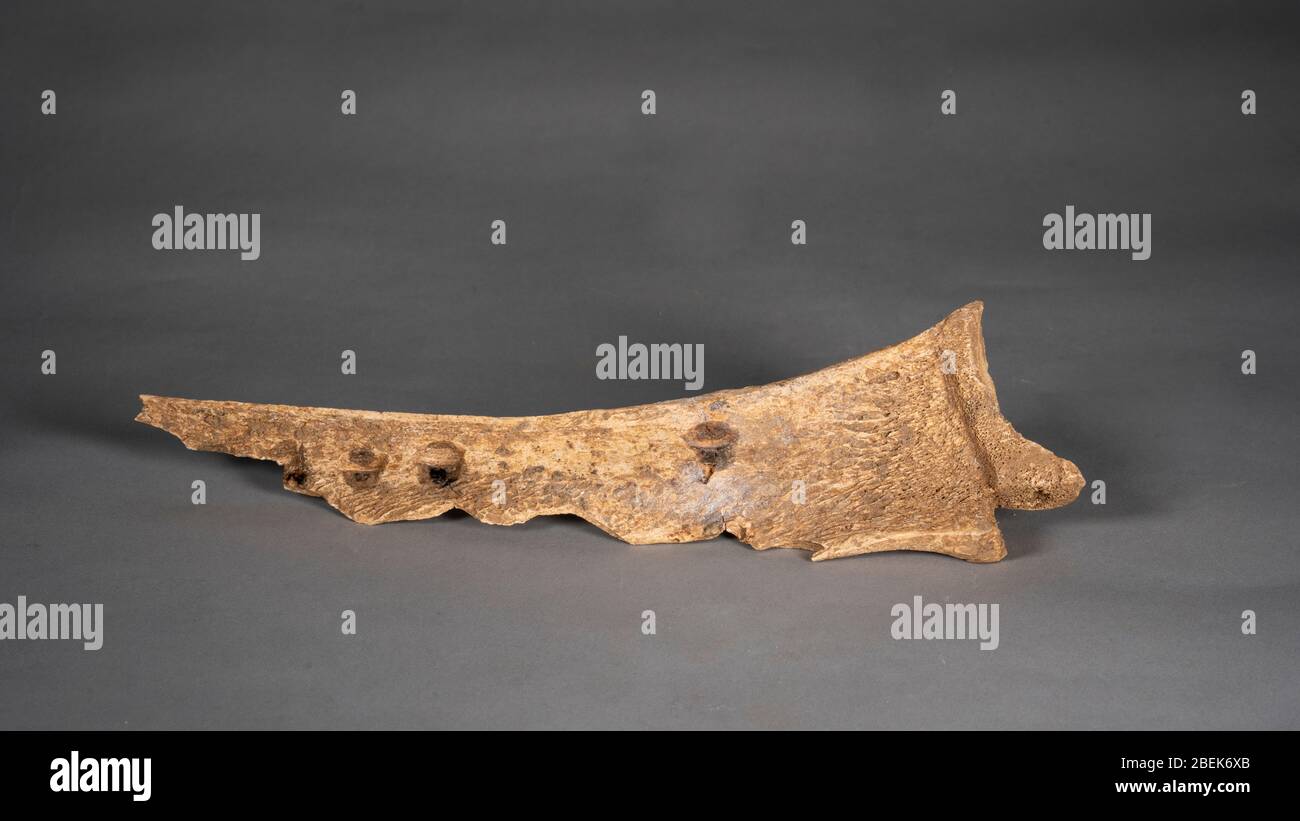 Shang dynasty oracle bone hi-res stock photography and images - Alamy