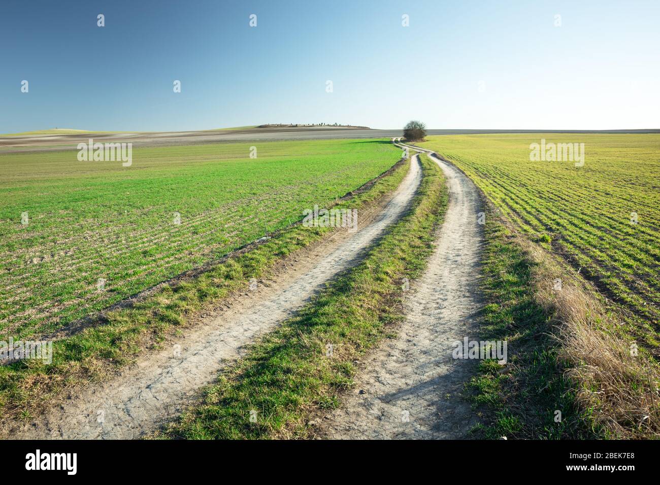 A long dirt road through green fields, horizon and blue sky Stock Photo ...