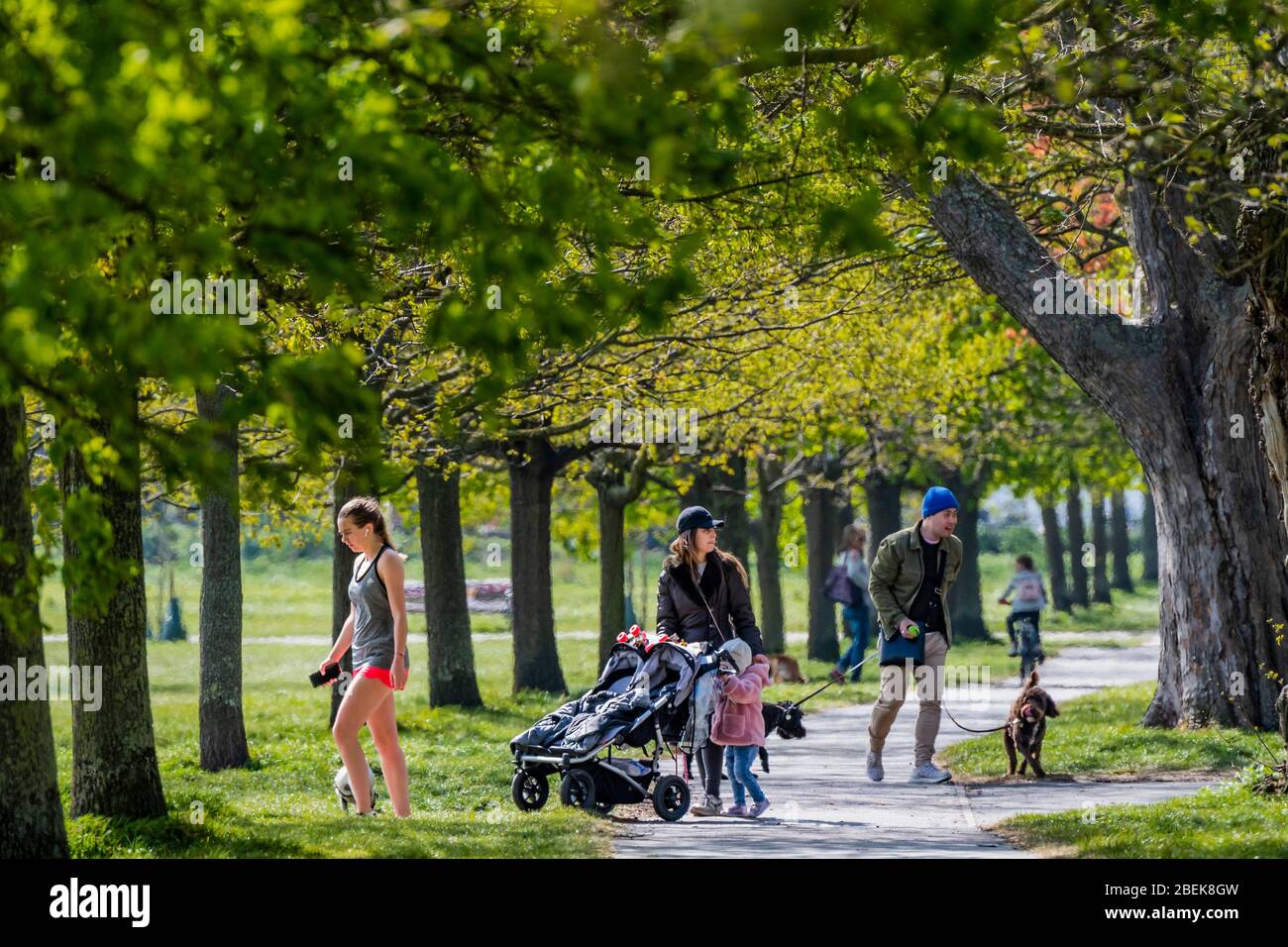 London, UK. 14th Apr, 2020. Clapham Common is pretty quiet now Lambeth ...