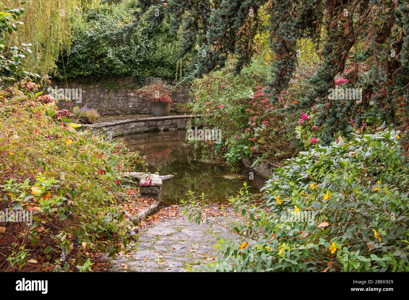 County limerick ireland hi-res stock photography and images - Alamy