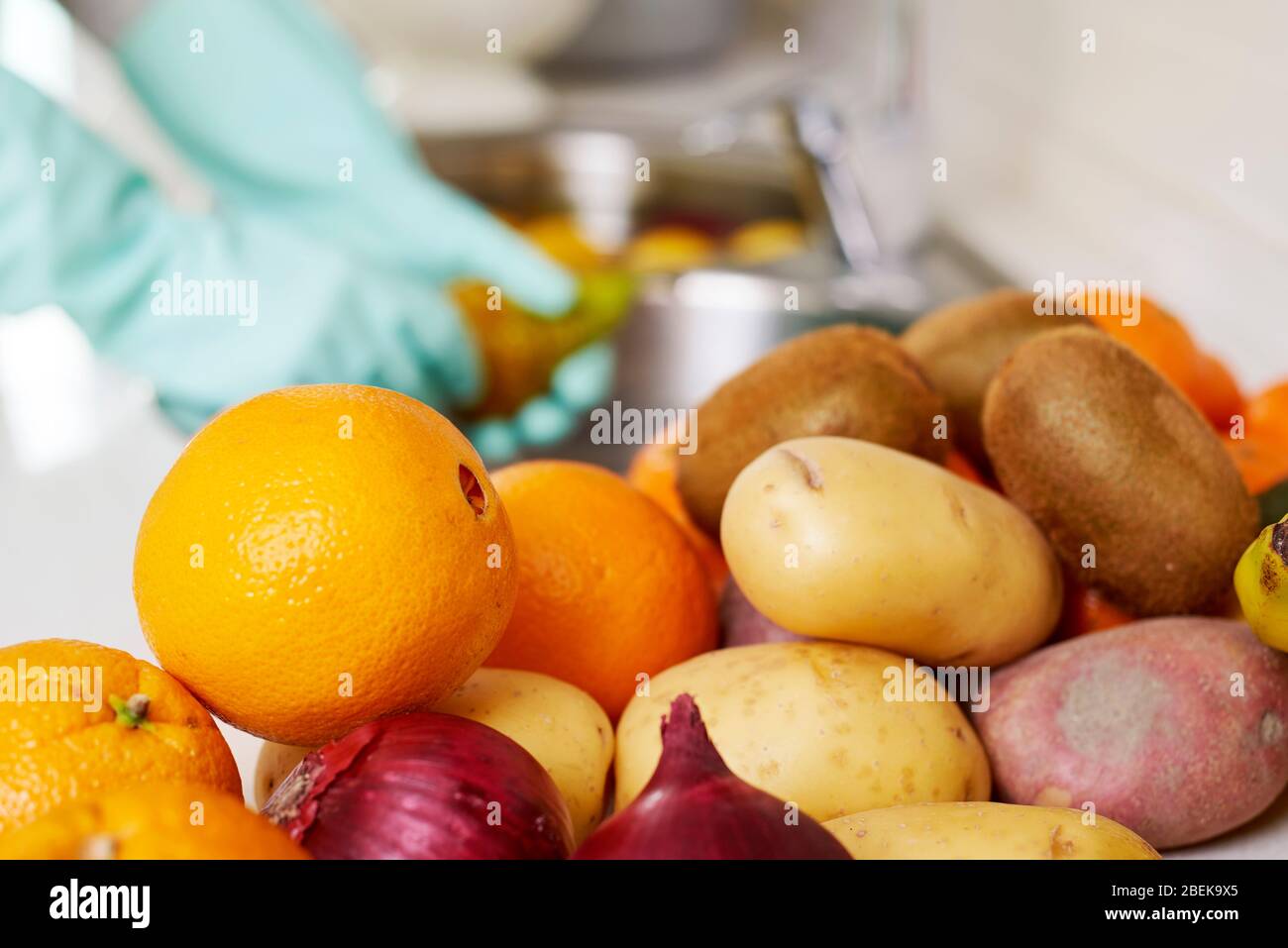 closeup of a man in the kitchen, wearing gloves, washing some fruits ...
