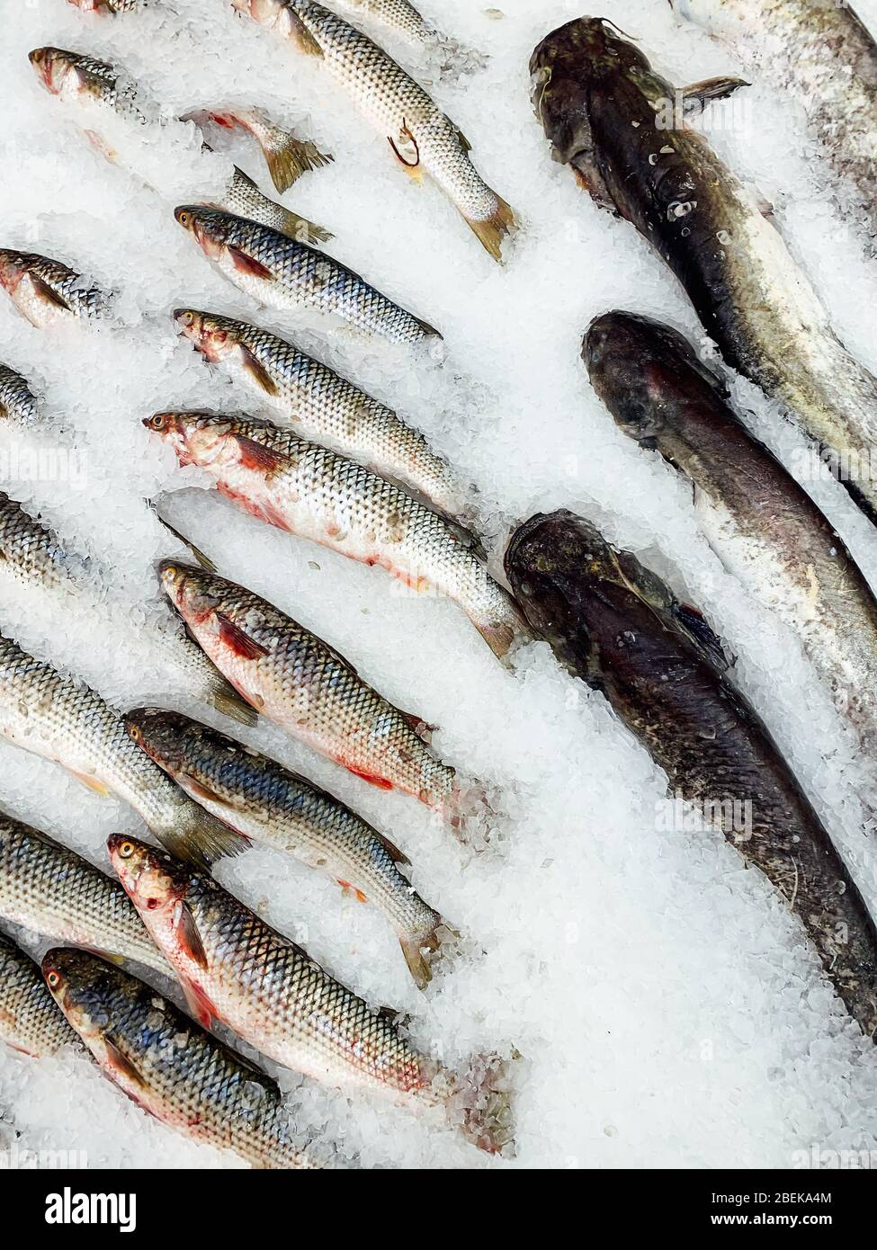 fresh seafood fish for cooking background food Stock Photo - Alamy