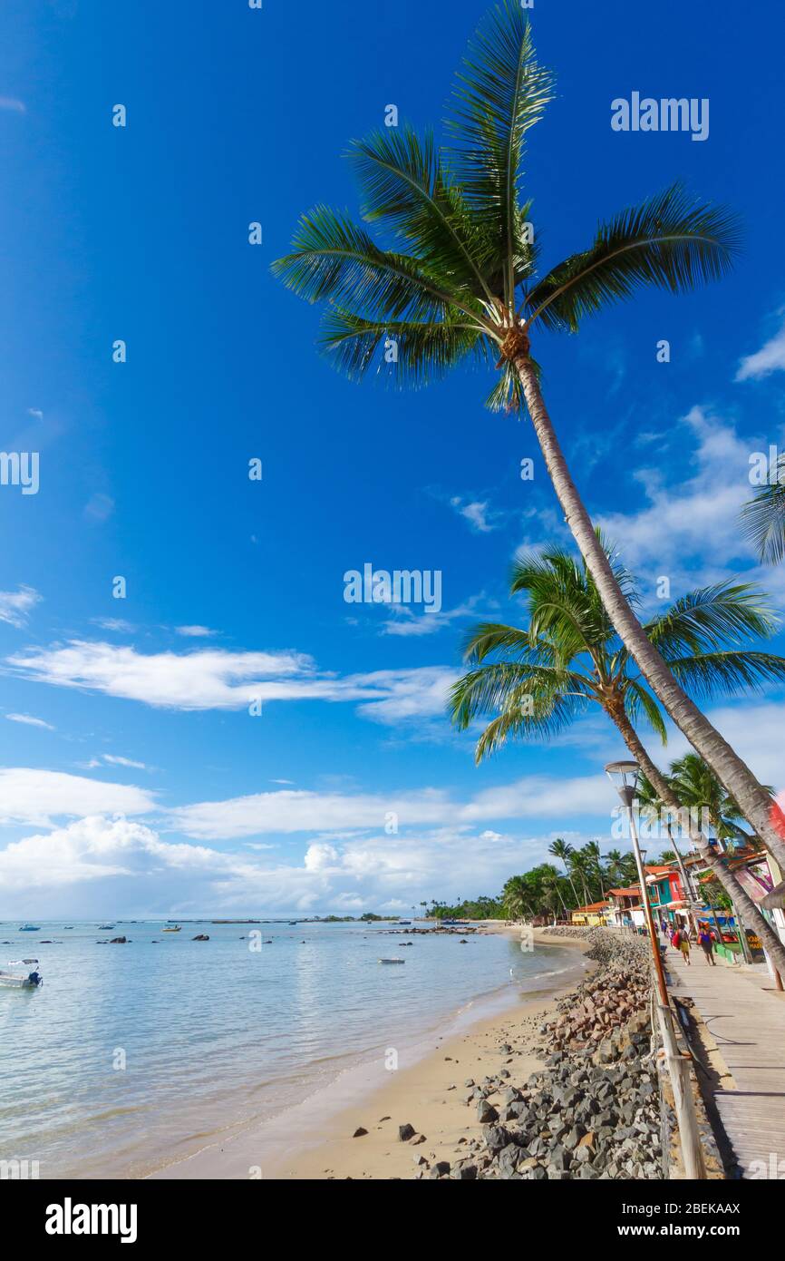 Morro de Sao paulo Beach in Salvador, Brazil Stock Photo - Alamy