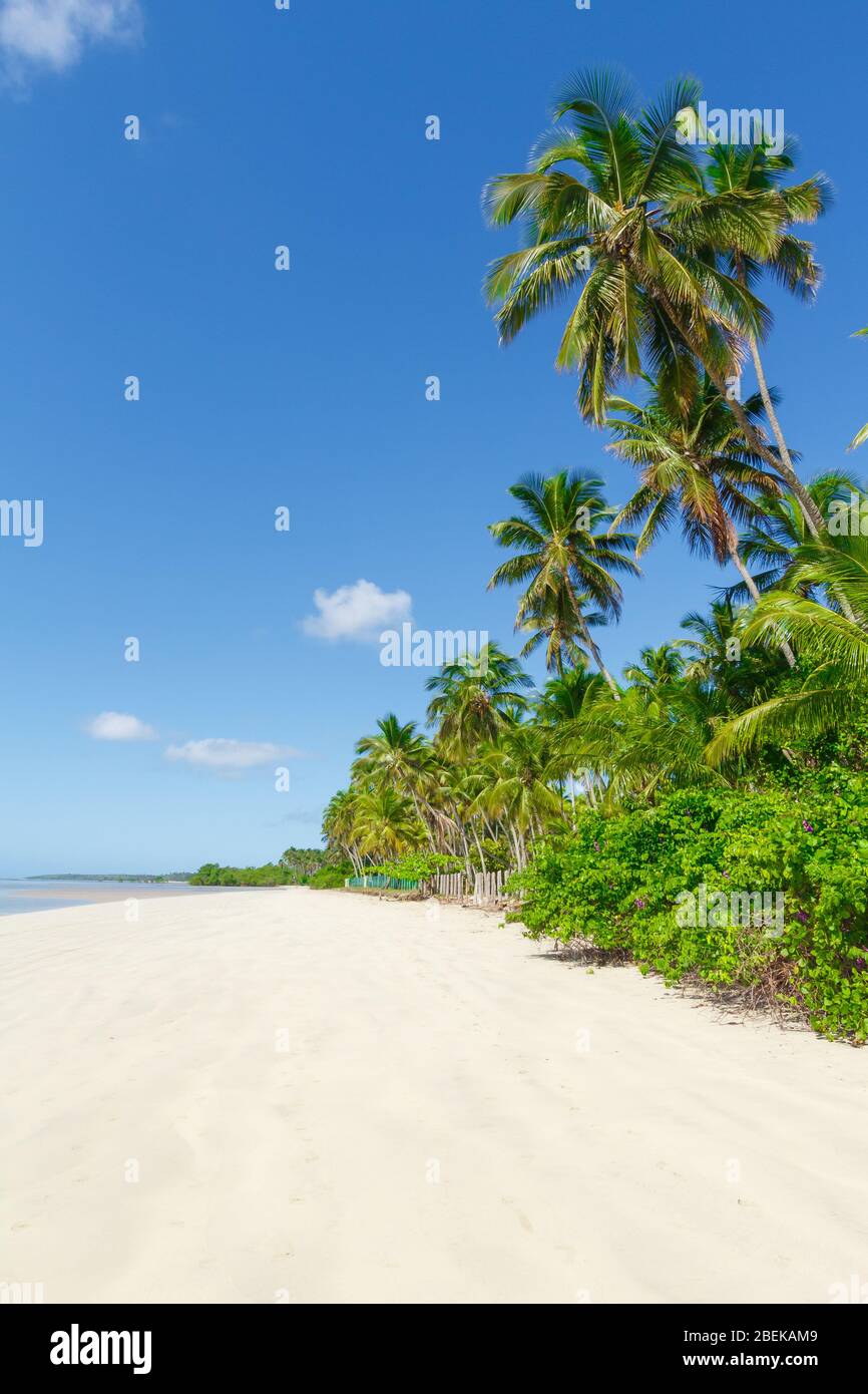 Morro de Sao paulo Beach in Salvador, Brazil Stock Photo - Alamy