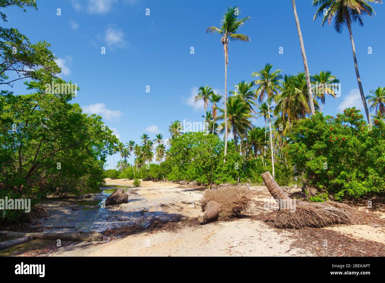 Morro de Sao paulo Beach in Salvador, Brazil Stock Photo - Alamy