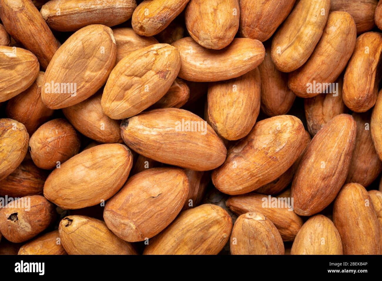 raw cacao beans, closeup background, superfood concept Stock Photo - Alamy