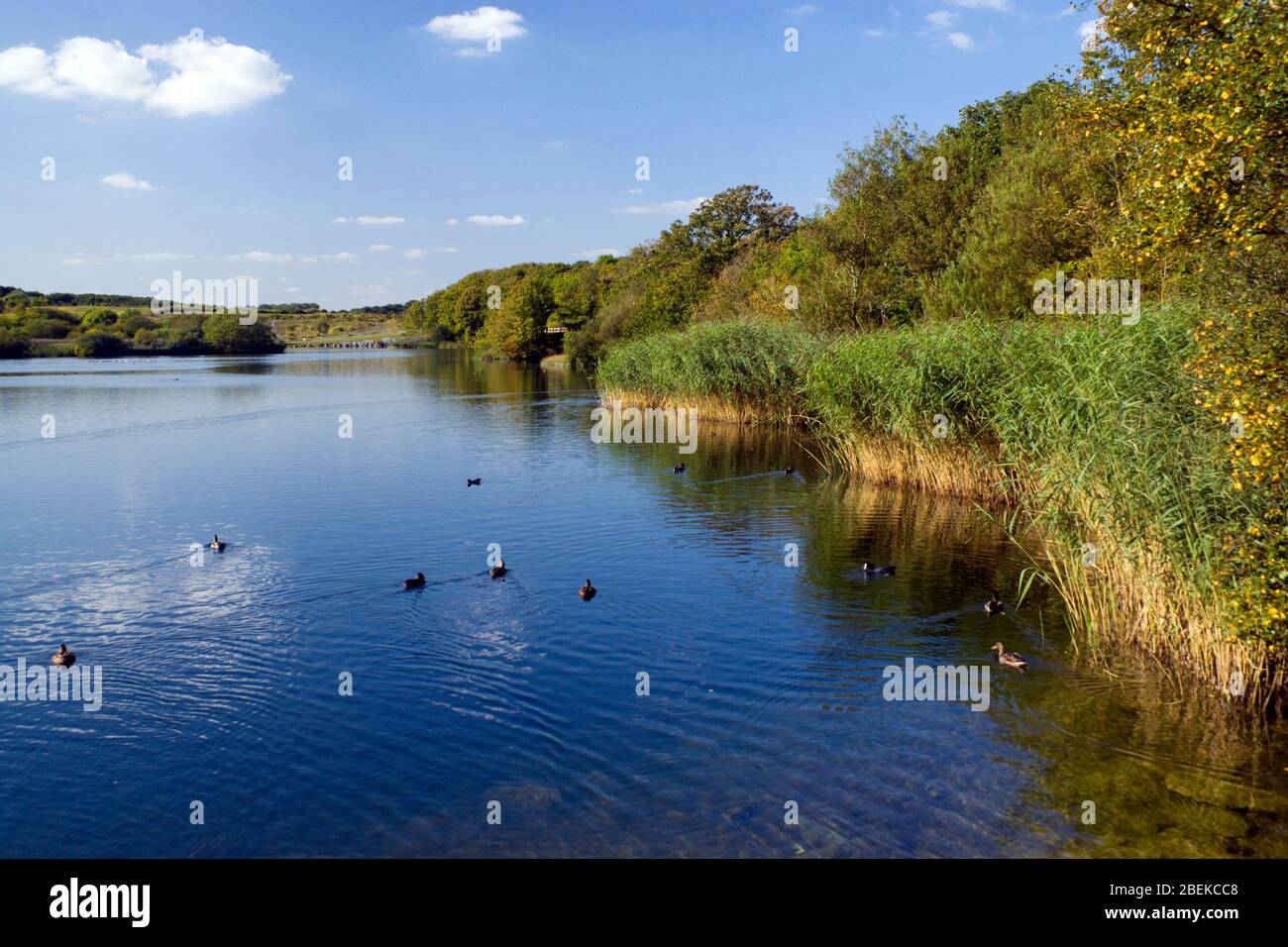 Cosmeston lakes and countrypark hi-res stock photography and images - Alamy