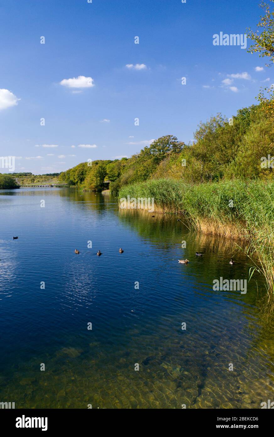 Lake, Cosmeston Lakes and Country Park, Penarth, Vale of Glamorgan ...