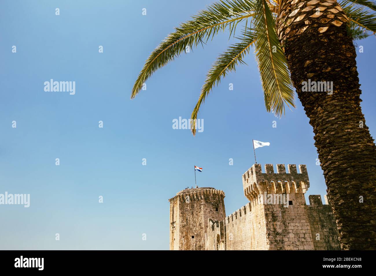 Kamerlengo castle and fortress with farm tree in Trogir, Croatia Stock ...