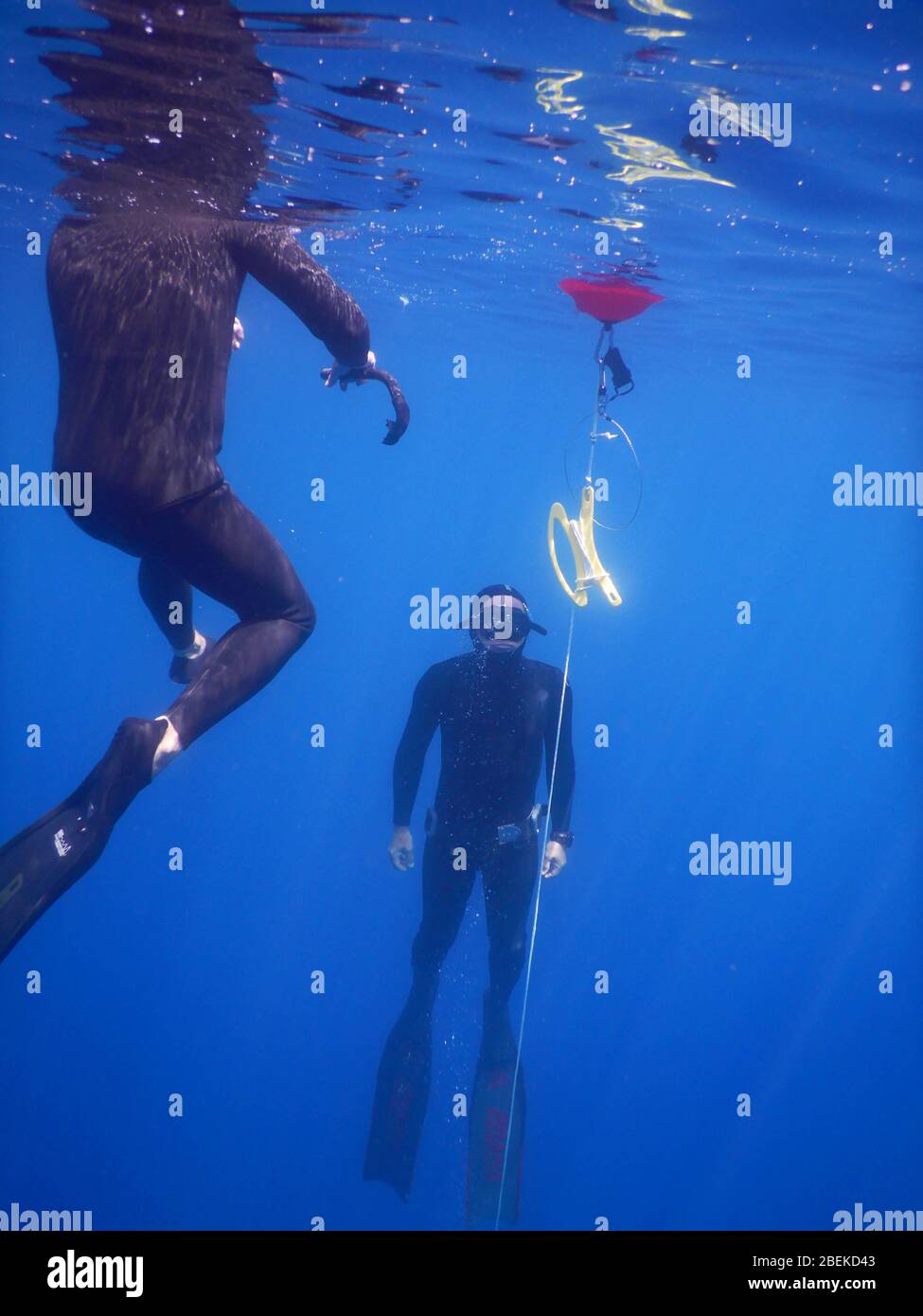 Free diving in the sea at Noli, Liguria - Italy Stock Photo - Alamy