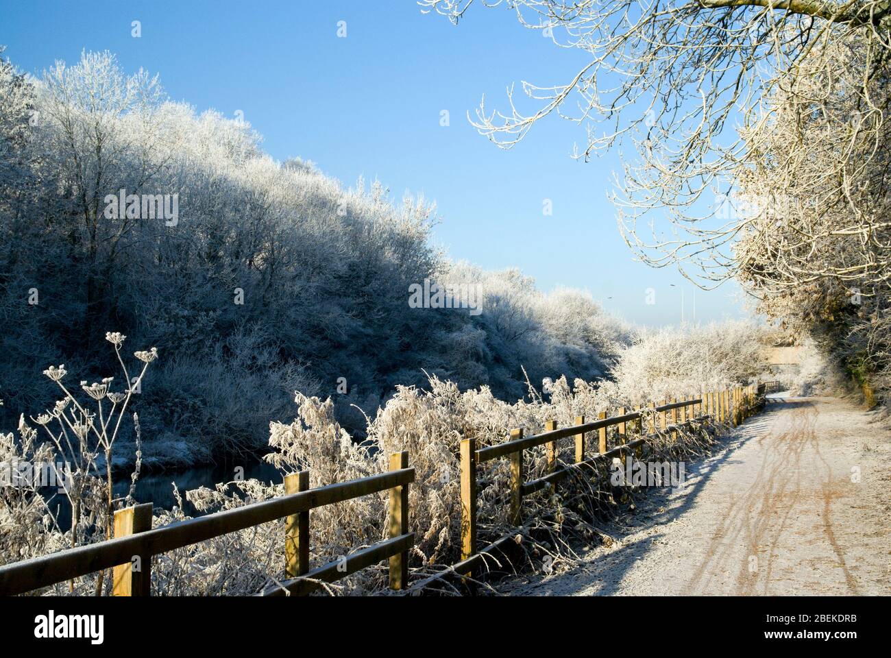 Ely river scene hi-res stock photography and images - Alamy