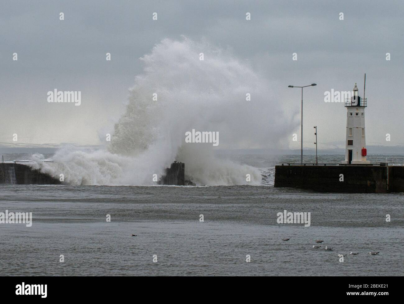 Anstruther, Fife, Scotland, UK The old fishing port of Anstruther in ...