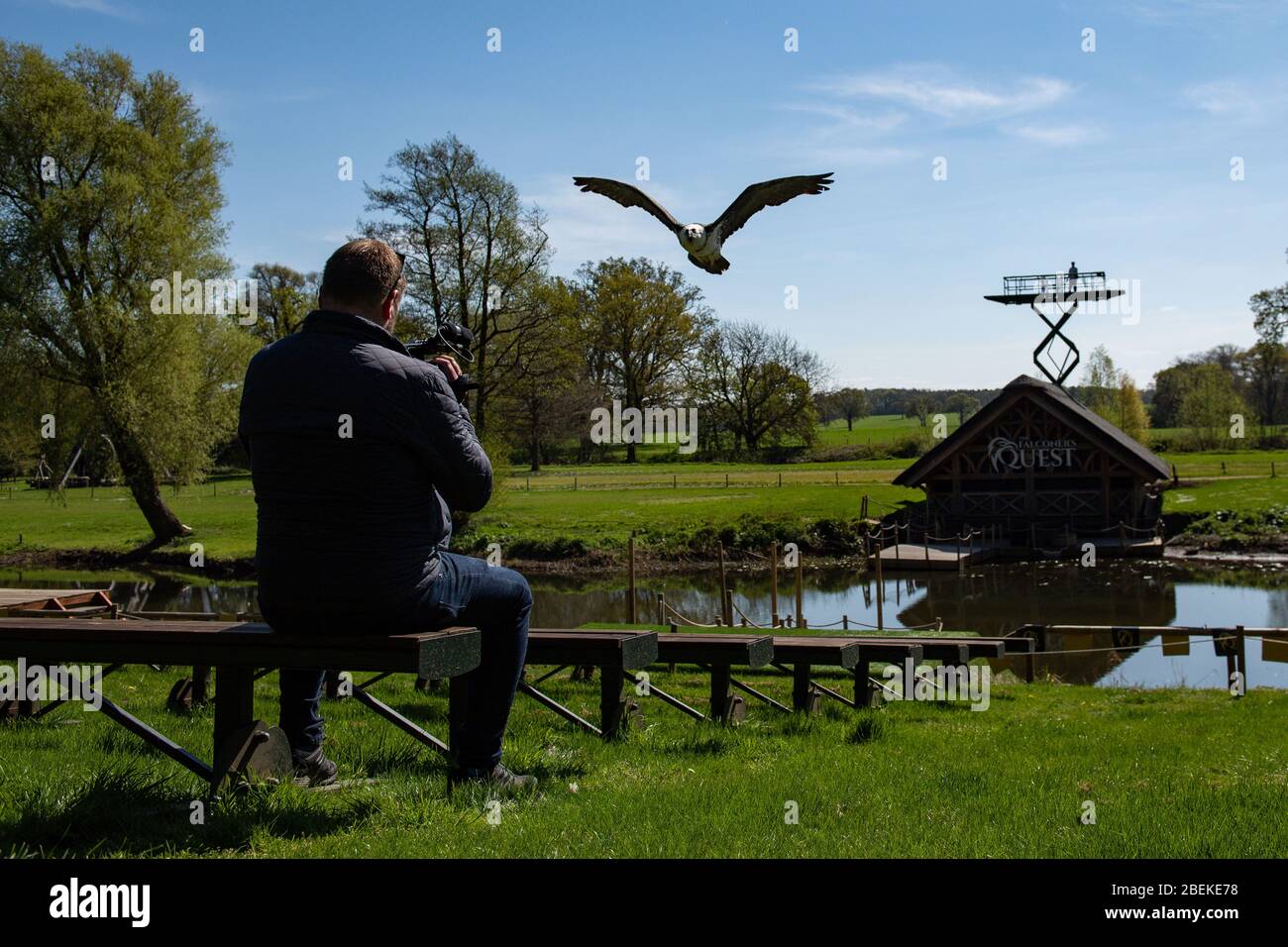 Warwick castle birds of prey hi-res stock photography and images - Alamy