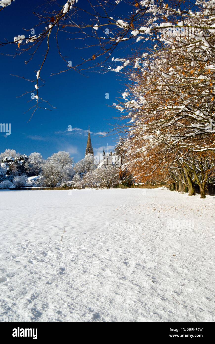 Snow llandaff cathedral cardiff winter trees cold wales hi-res stock ...
