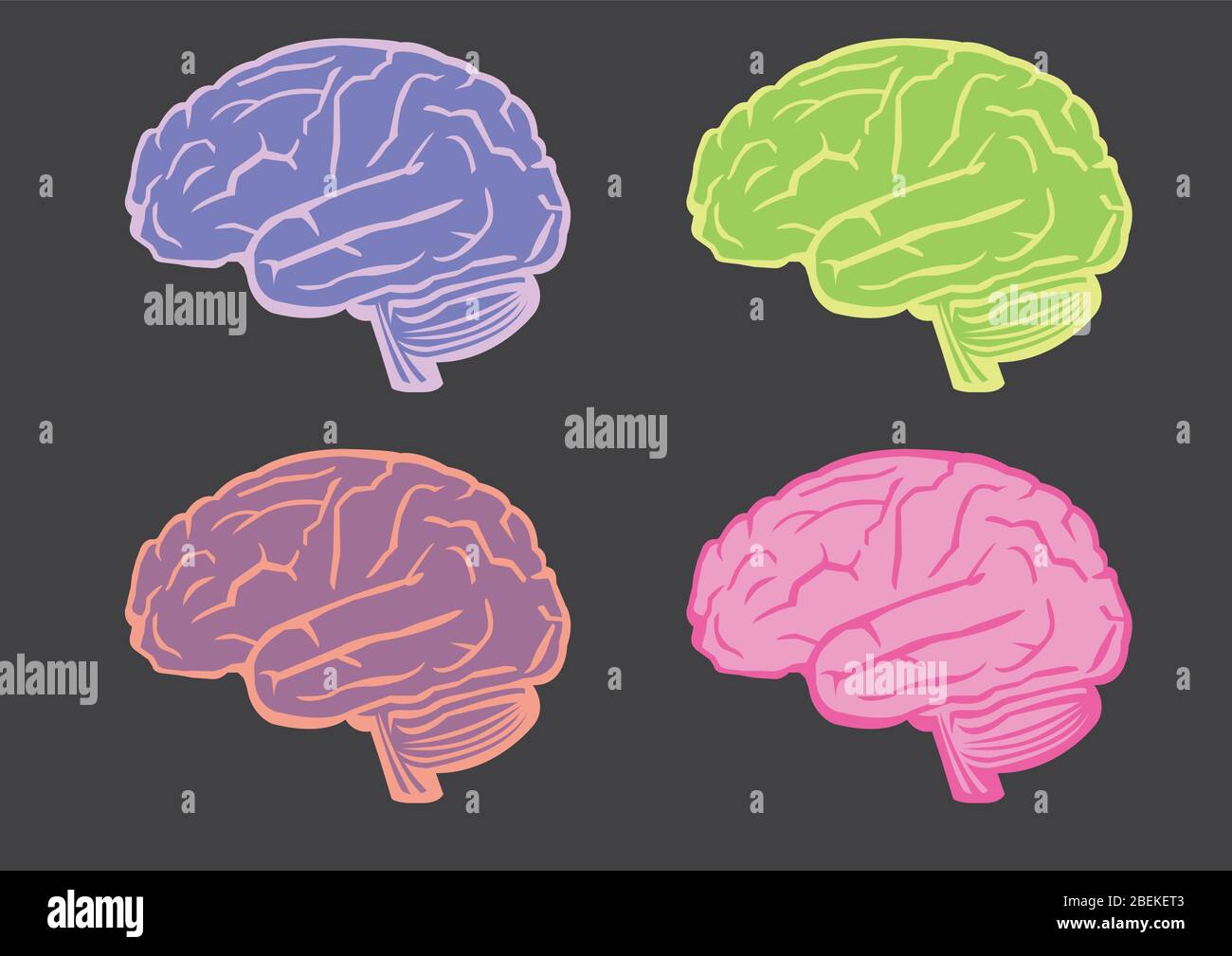 Collection of four fancy mulitcolor human brain in profile view ...