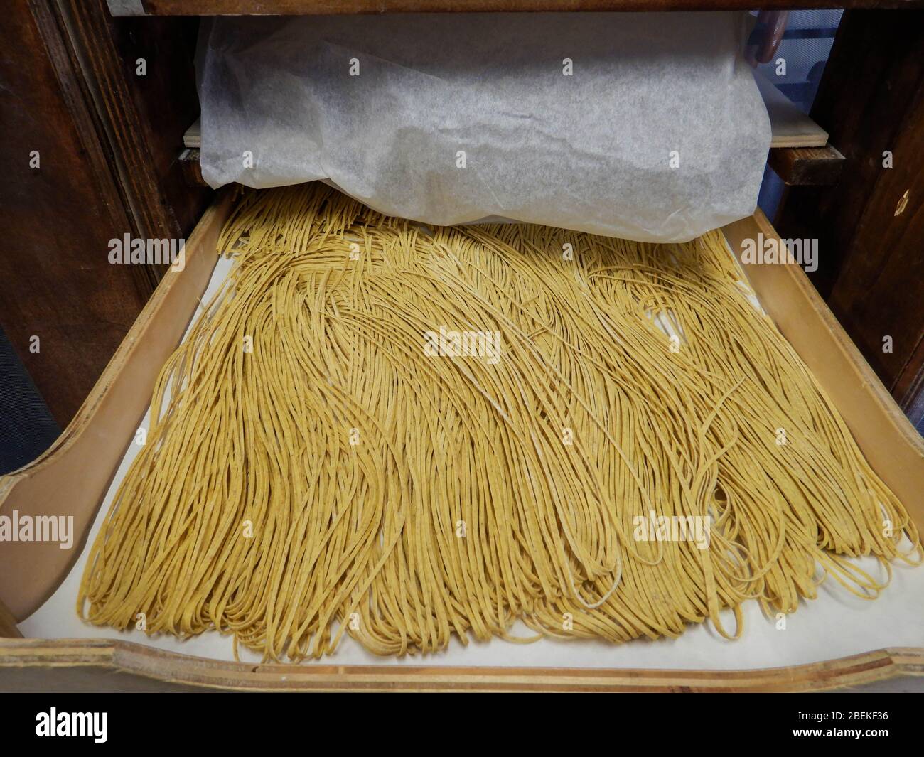 Tajarin preparation: typical pasta of Piedmont, Italy Stock Photo - Alamy